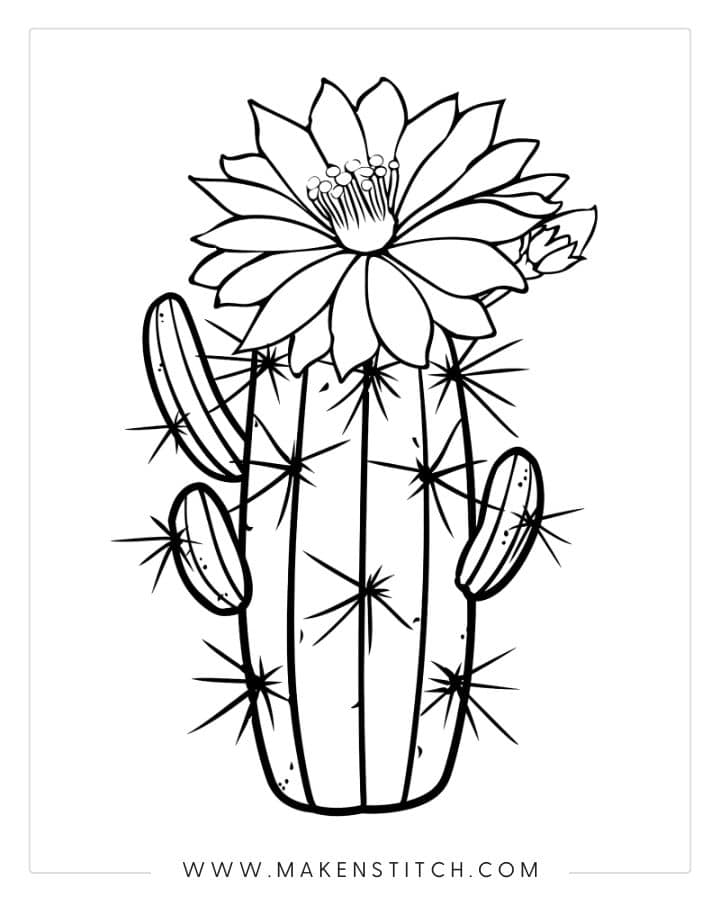 Cactus Coloring Pages - Makenstitch