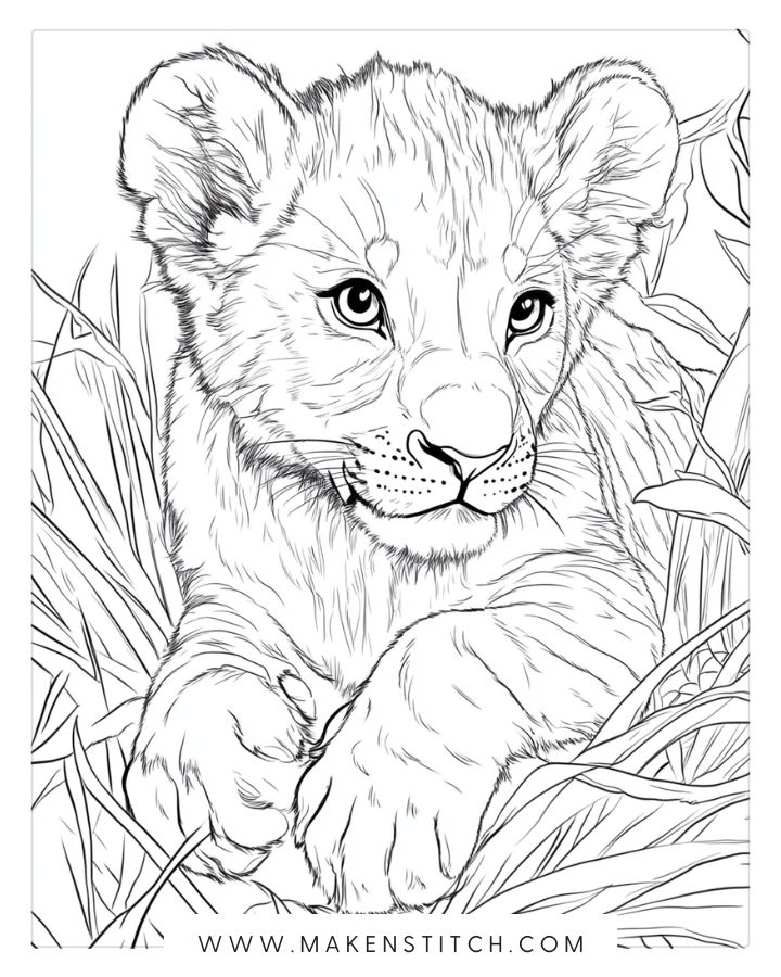 24 Lion Coloring Pages - Makenstitch