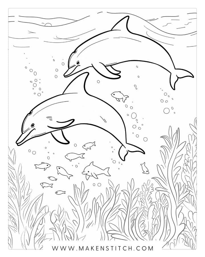 Dolphin Coloring Pages - Makenstitch