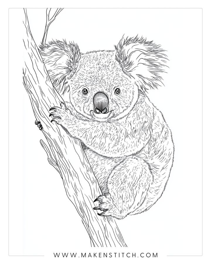26 Koala Coloring Pages - Makenstitch