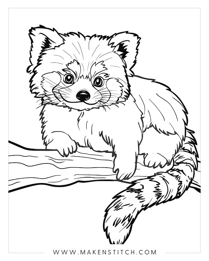 20 Panda Coloring Pages - Makenstitch