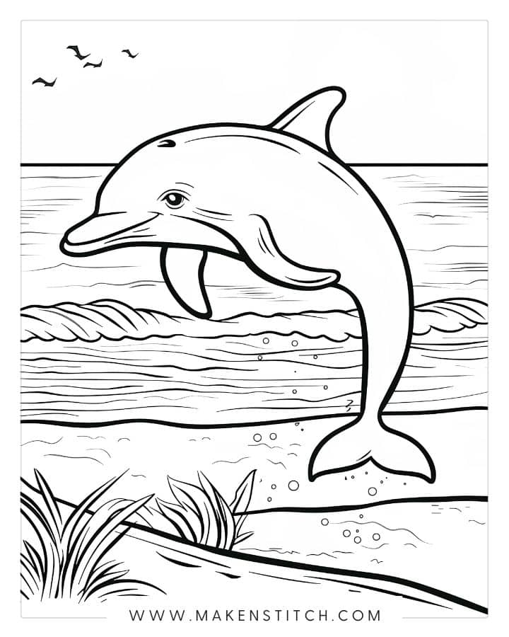 Dolphin Coloring Pages - Makenstitch