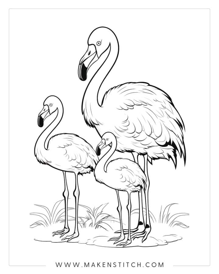 Flamingo Coloring Pages - Makenstitch