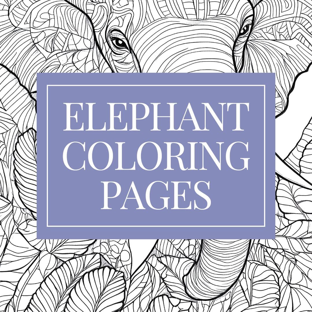 42 Elephant Coloring Pages - Makenstitch