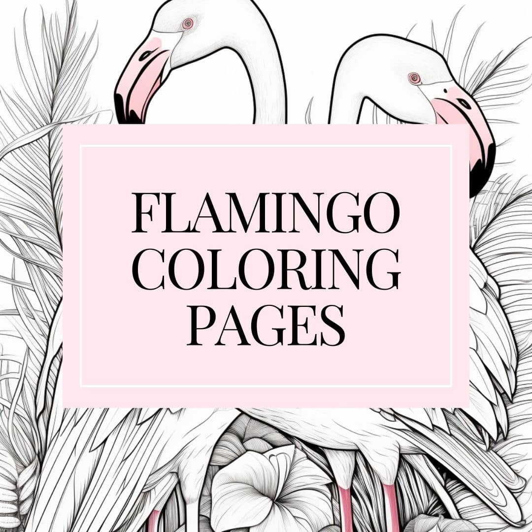 Flamingo Coloring Pages - Makenstitch