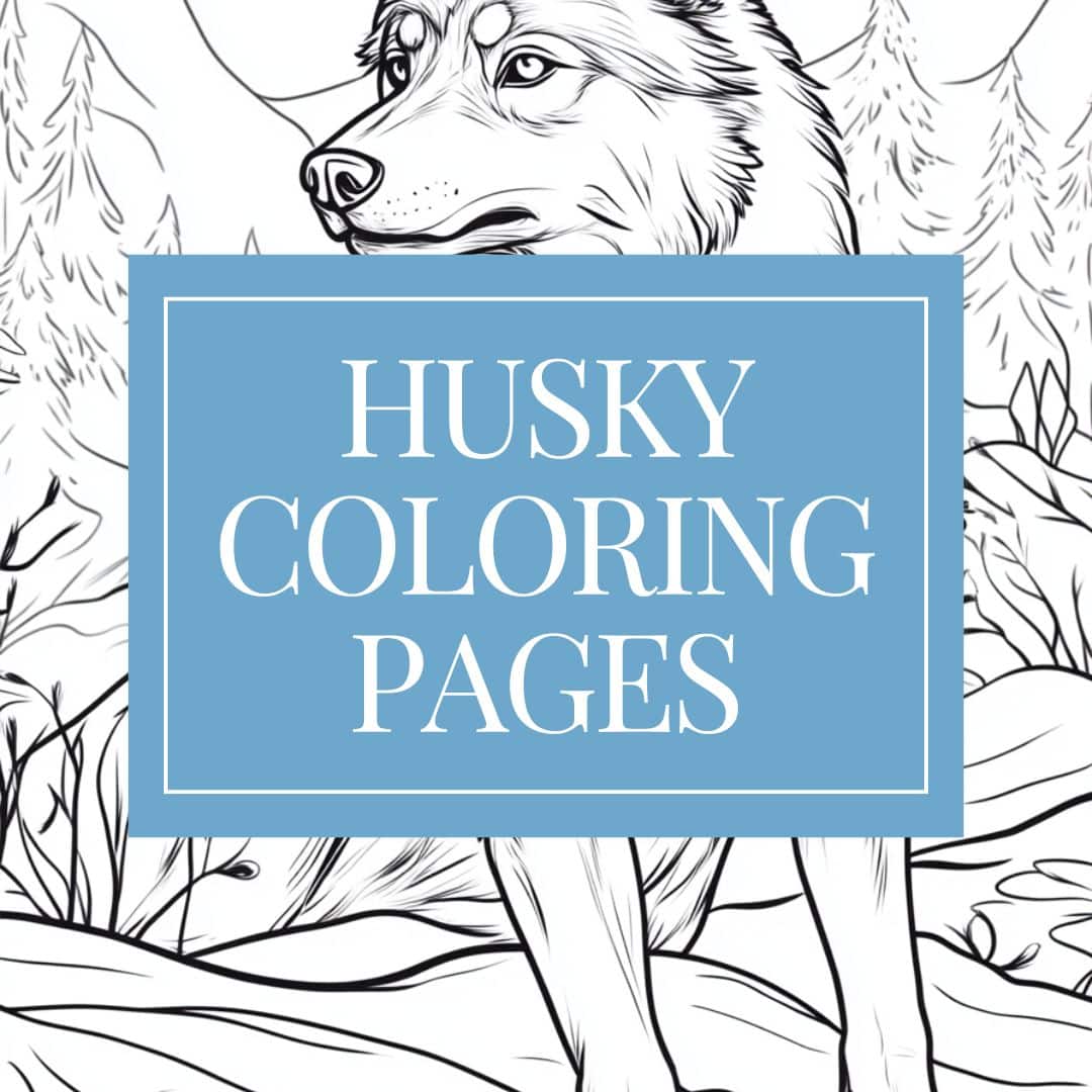 22 Husky Coloring Pages - Makenstitch