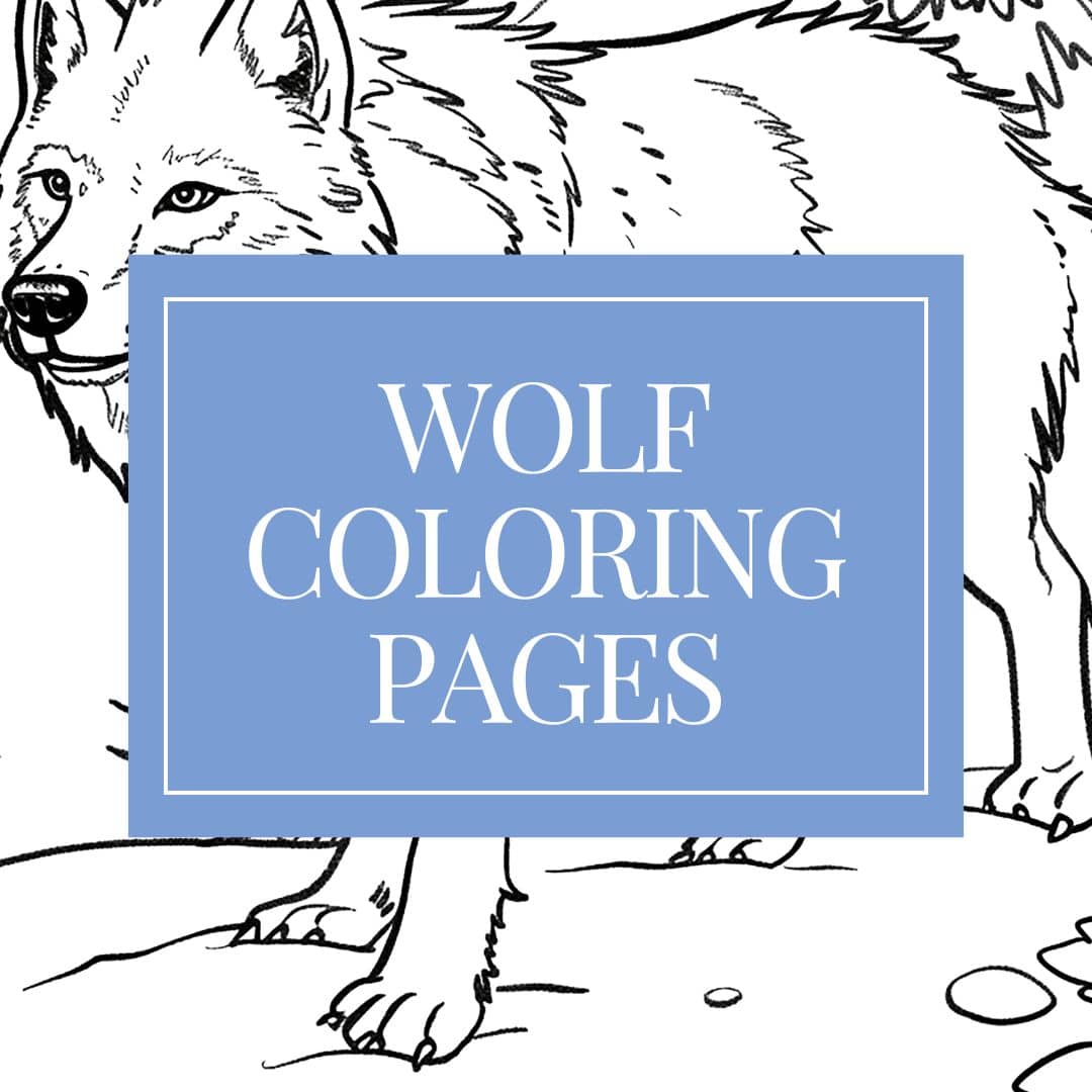 Wolf Coloring Pages - Makenstitch